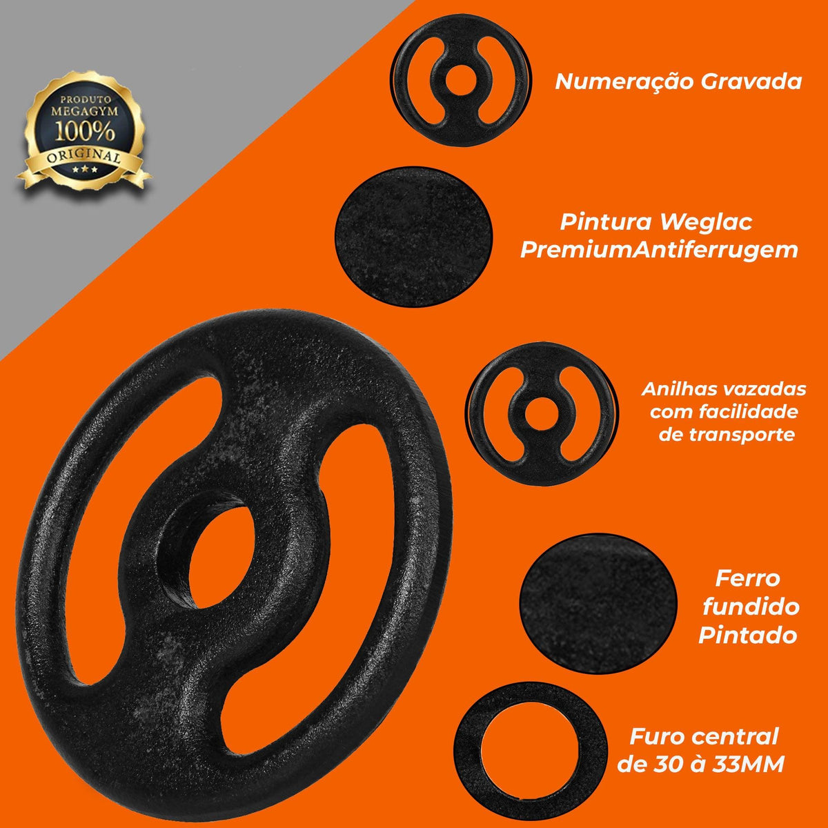 Anilha 10kg Pintada para Musculação em Academia